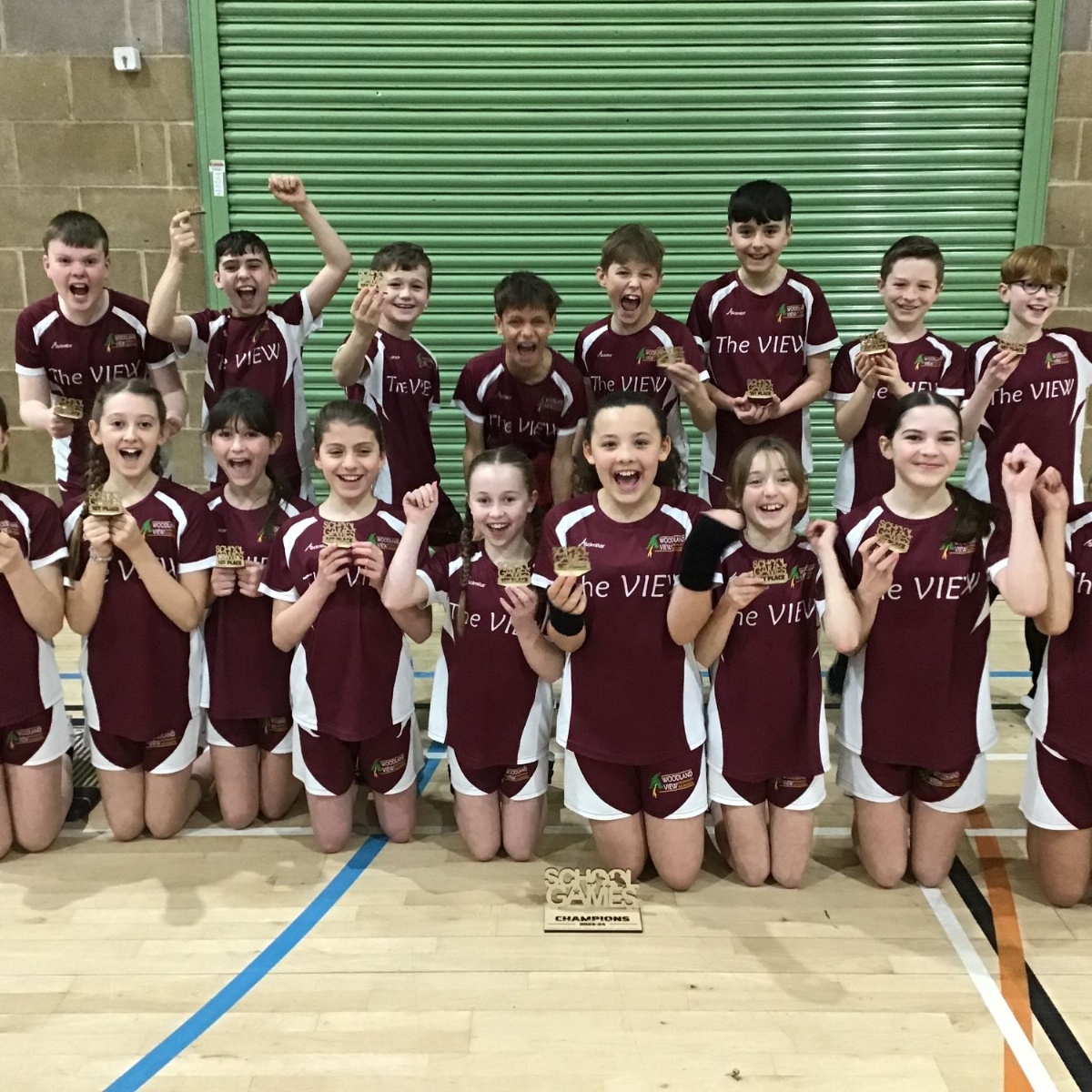 Woodland View Primary School - Year 5/6 Sportshall Athletics - District